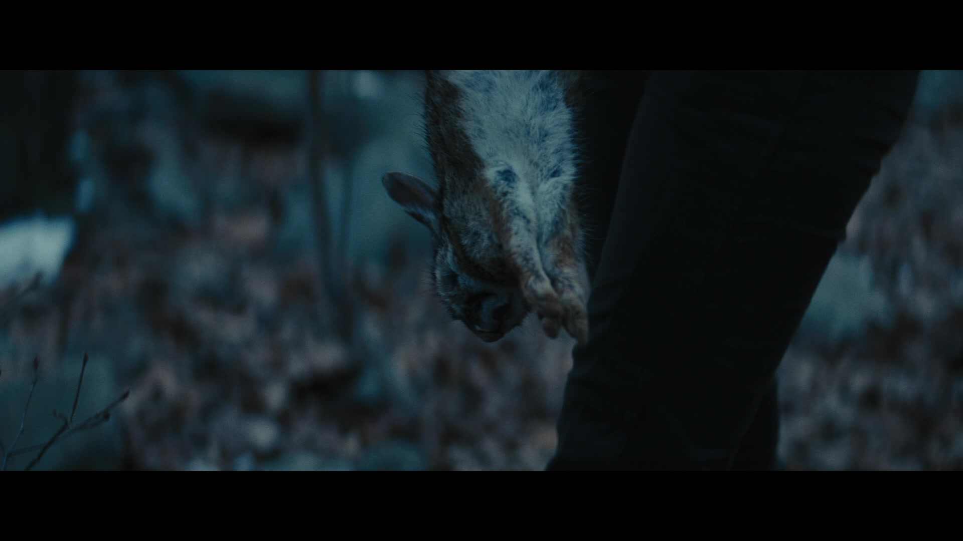 [ cap-that.com ] The Hunger Games Catching Fire > screencap archive