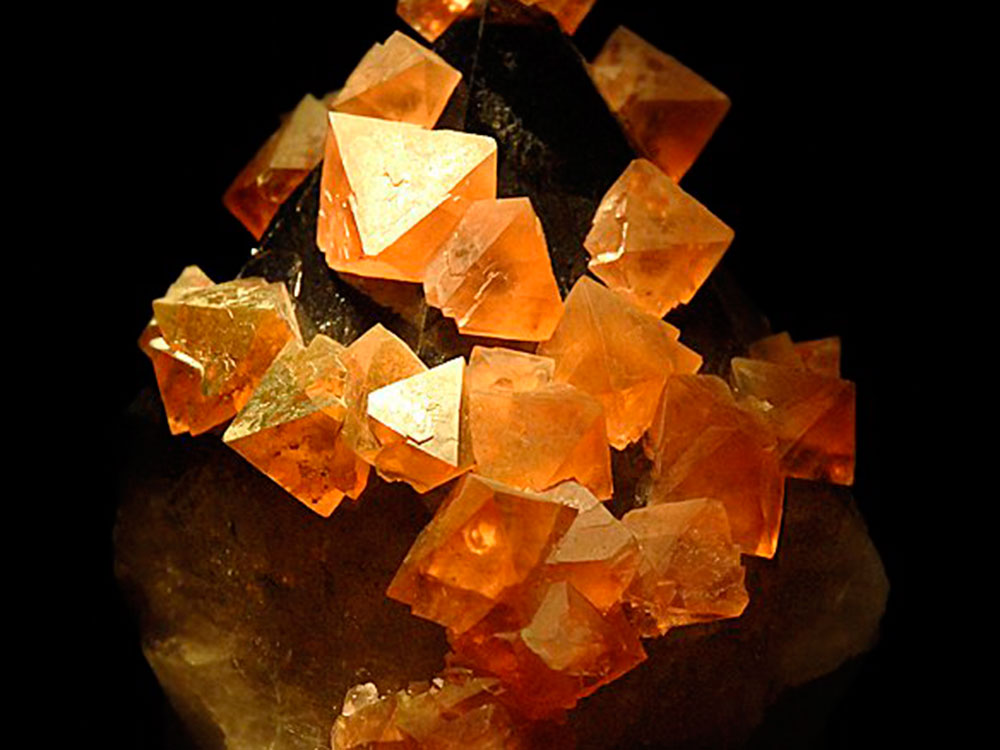 The complicated history of fluoride - Padeye