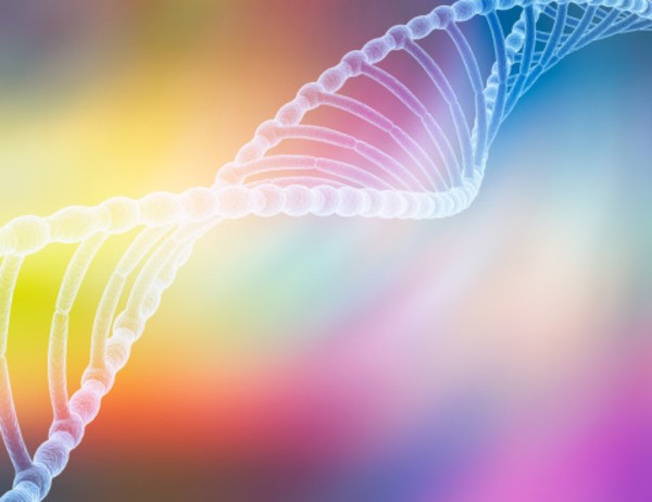 Non-human DNA found in Ötzi, 'the ice man' - Padeye