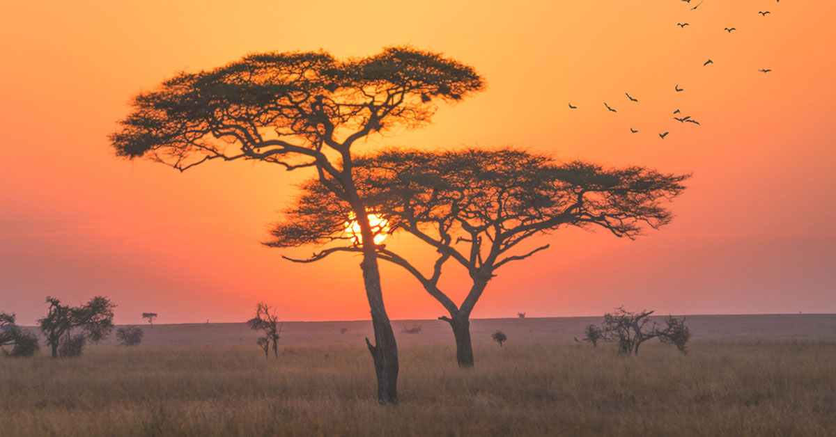 The most beautiful landscapes in Africa - Padeye