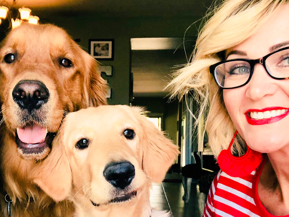 Meet Todd, the superhero puppy - Todd, the dog - Padeye