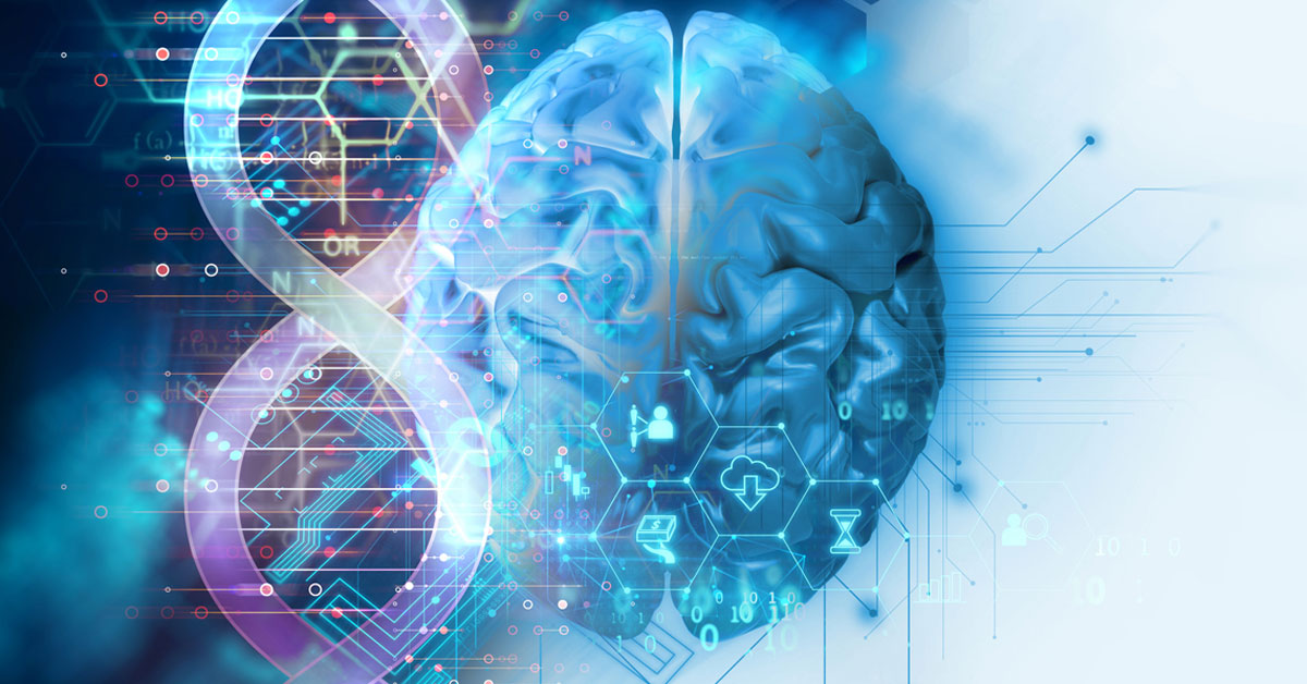 They discover the surprising role of a 'bomb' gene in the formation of ...