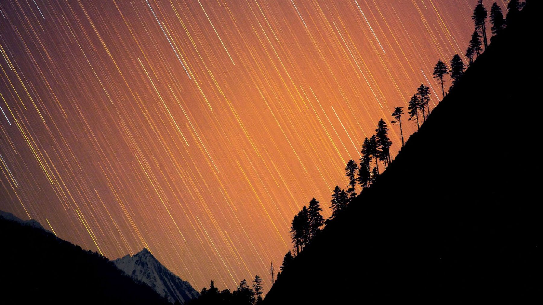 Delta Aquarids 2021: How and when to see the July meteor shower - Padeye