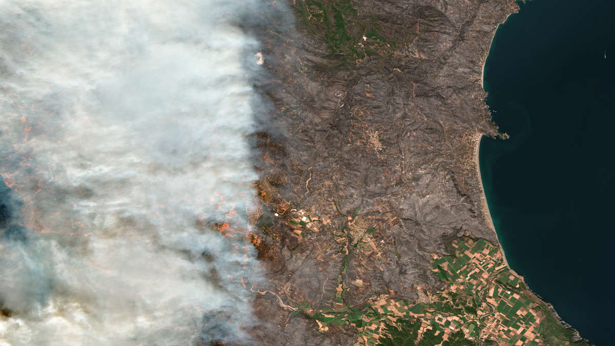 The world is on fire: NASA satellite map shows the source of the fire ...