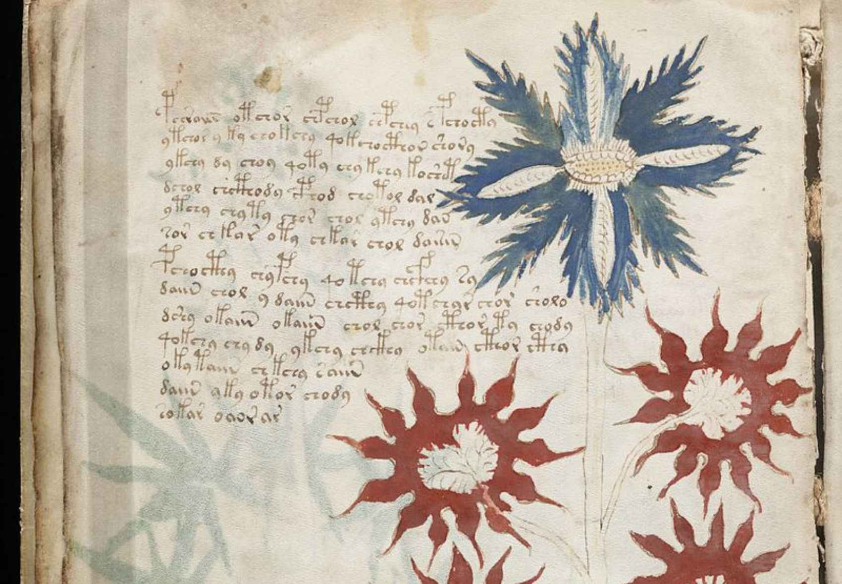 The Voynich Manuscript, one of the most mysterious books in history ...