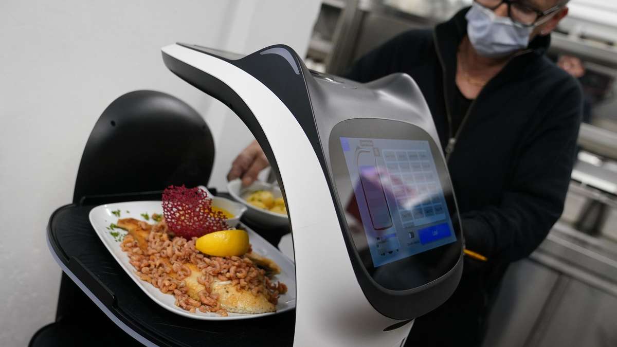 The robot "Bella" serves the food - Padeye