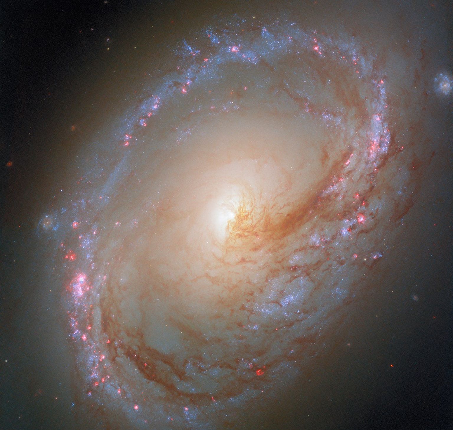 Hubble Homes in on Galaxy’s Star Formation: Stunning New Look at ...