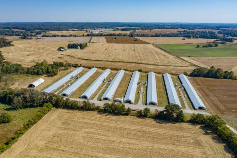 Traditional Listings – Page 3 – Herron Auctions