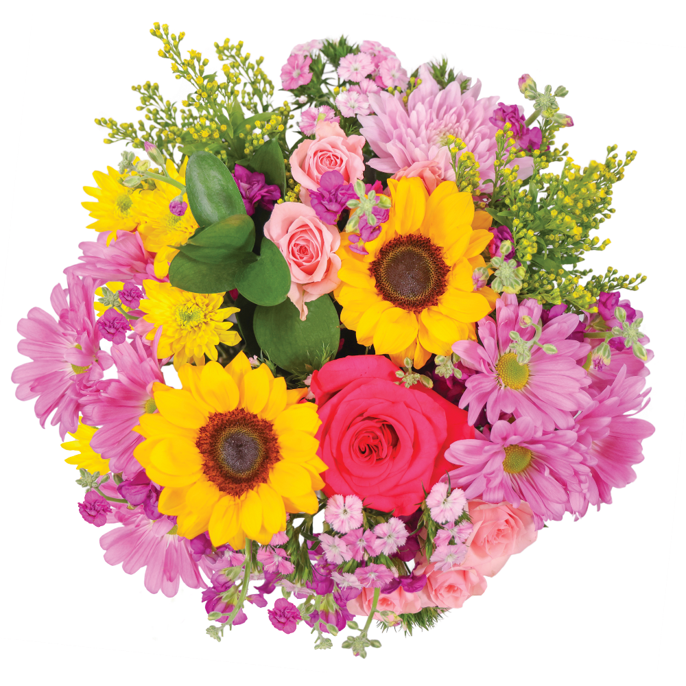Weekly Ad | Shop and Find Weekly Deals at your Local Store - Gerbes ...