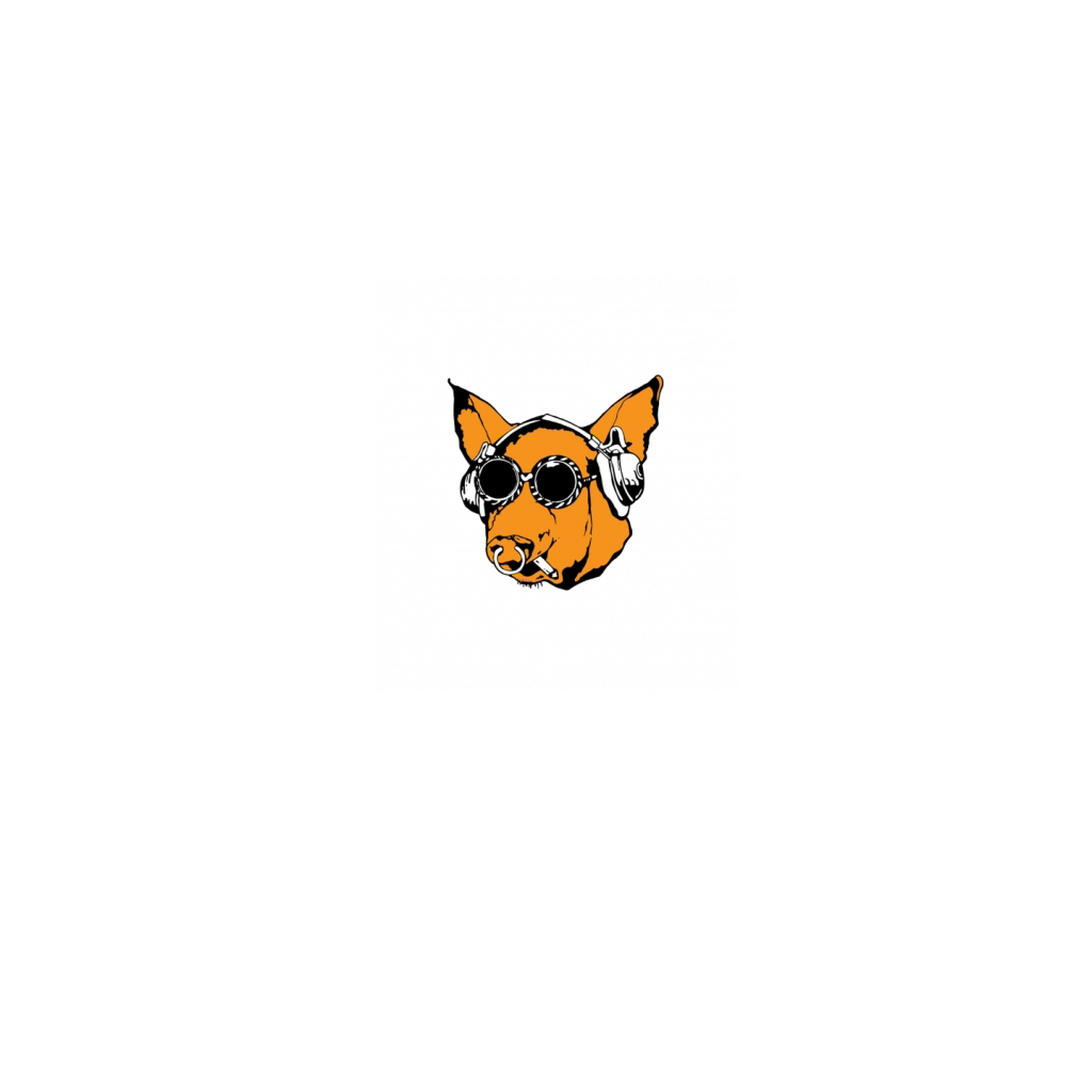 Real Rock Animals