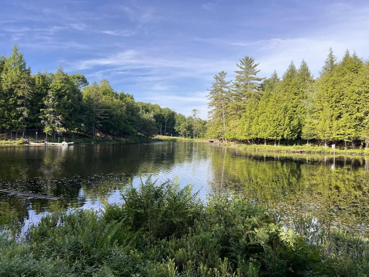 Our Properties - Long Lake Real Estate