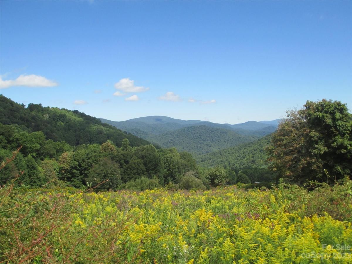 1099 Silas Branch Road Burnsville NC 28714 MLS #CAR4012424