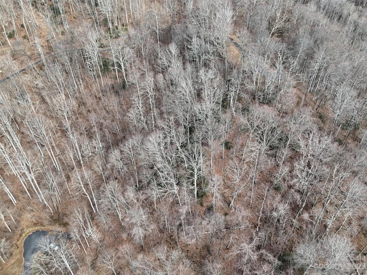 00 Evans Cove Road Maggie Valley NC 28751 MLS #CAR4077019