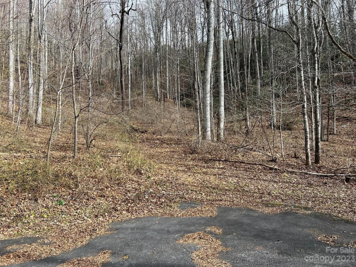 00 Evans Cove Road Maggie Valley NC 28751 MLS #CAR4077019