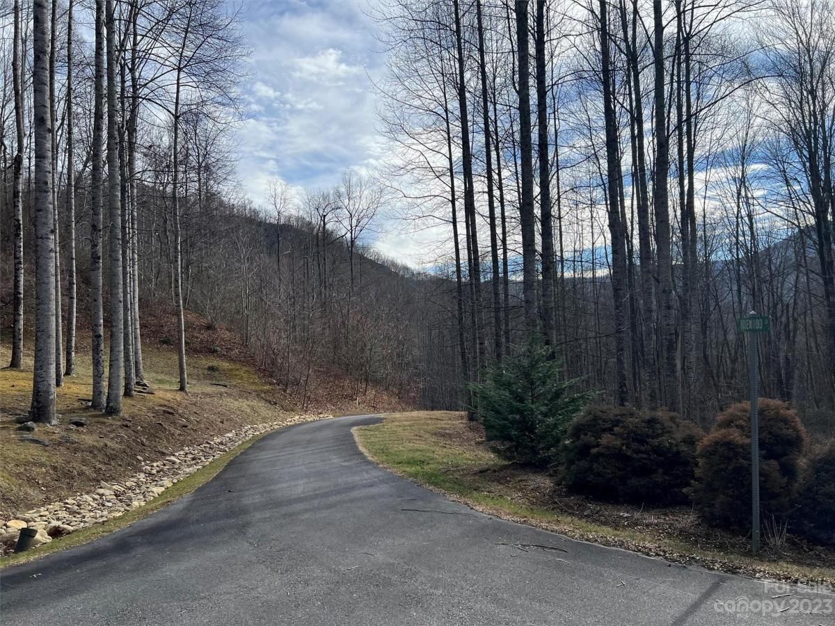 00 Evans Cove Road Maggie Valley NC 28751 MLS #CAR4077019