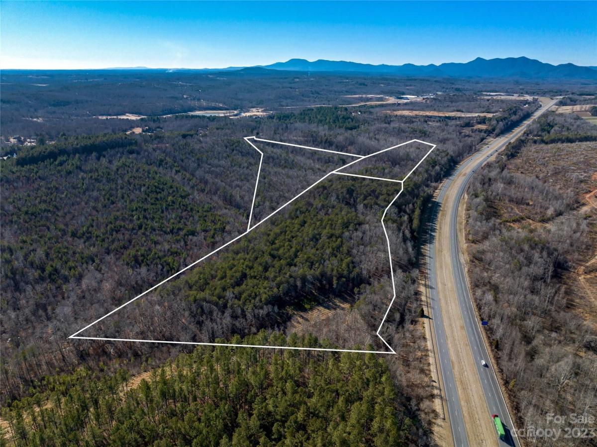 99999 Pea Ridge Road Mill Spring NC 28756 MLS #CAR4097457