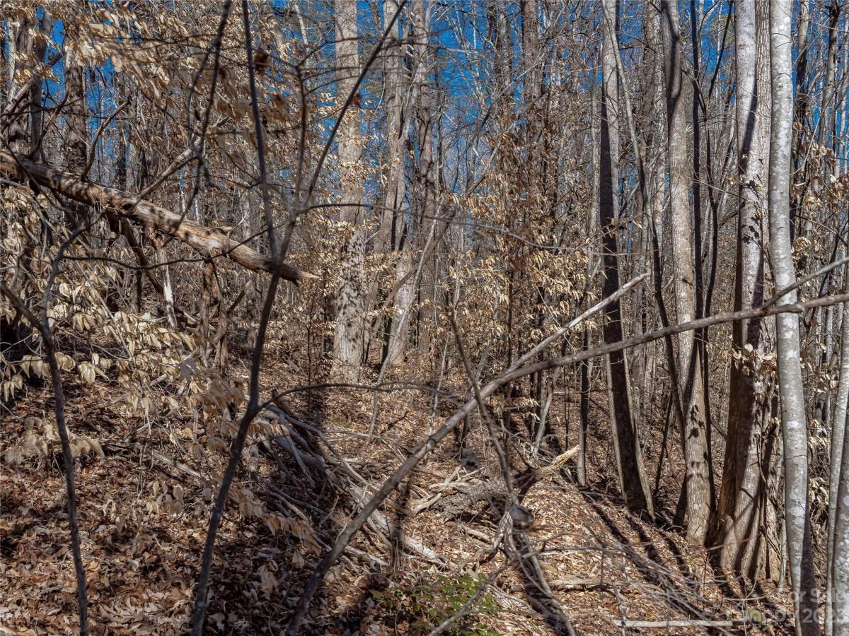 99999 Pea Ridge Road Mill Spring NC 28756 MLS #CAR4097457