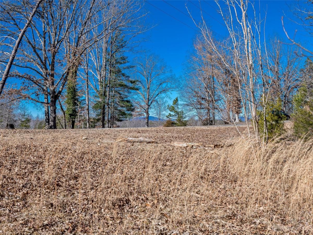 99999 Pea Ridge Road Mill Spring NC 28756 MLS #CAR4097457