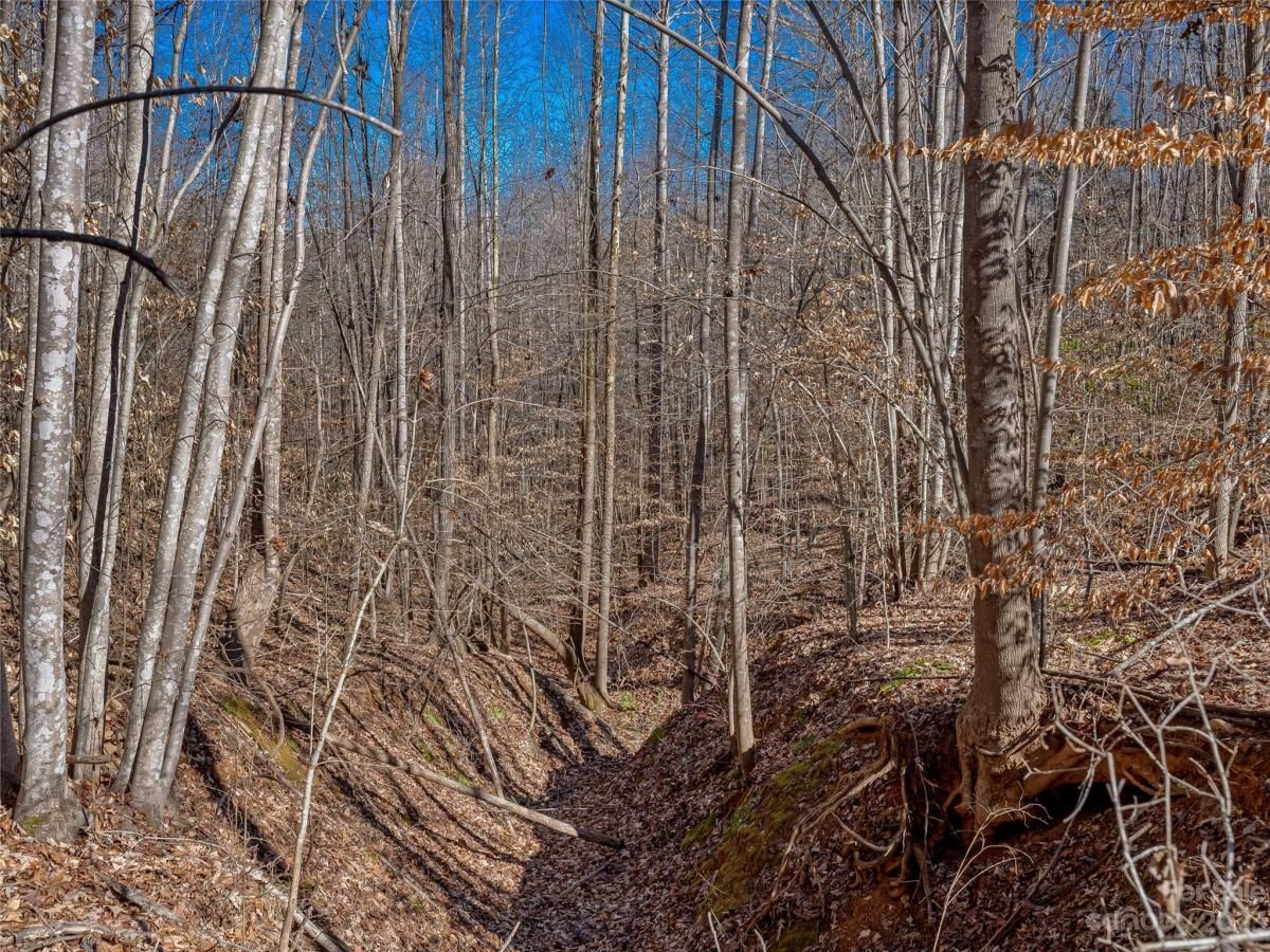 99999 Pea Ridge Road Mill Spring NC 28756 MLS #CAR4097457