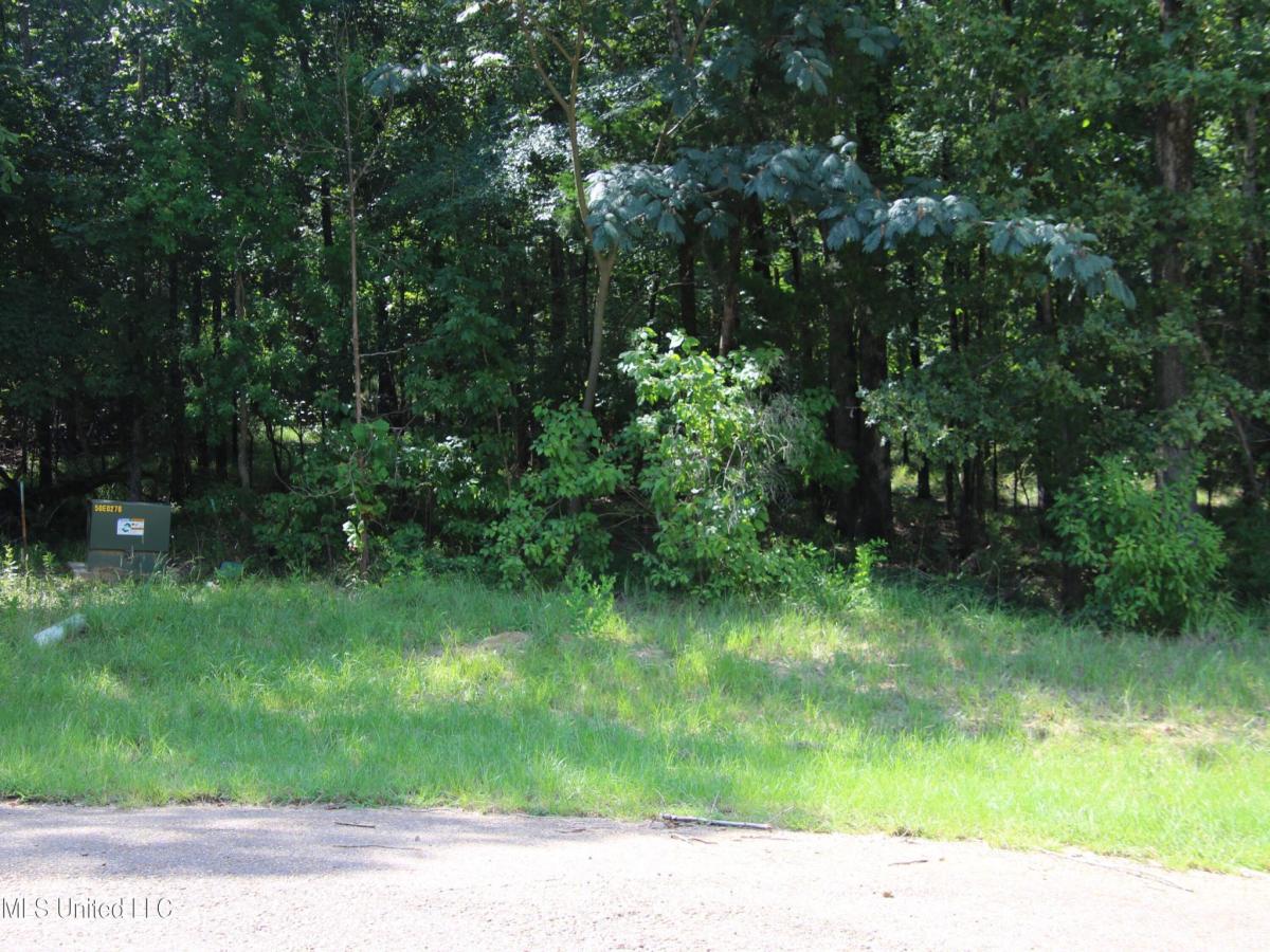 0 Westline Lots Drive Madison MS 39110 MLS #4124237