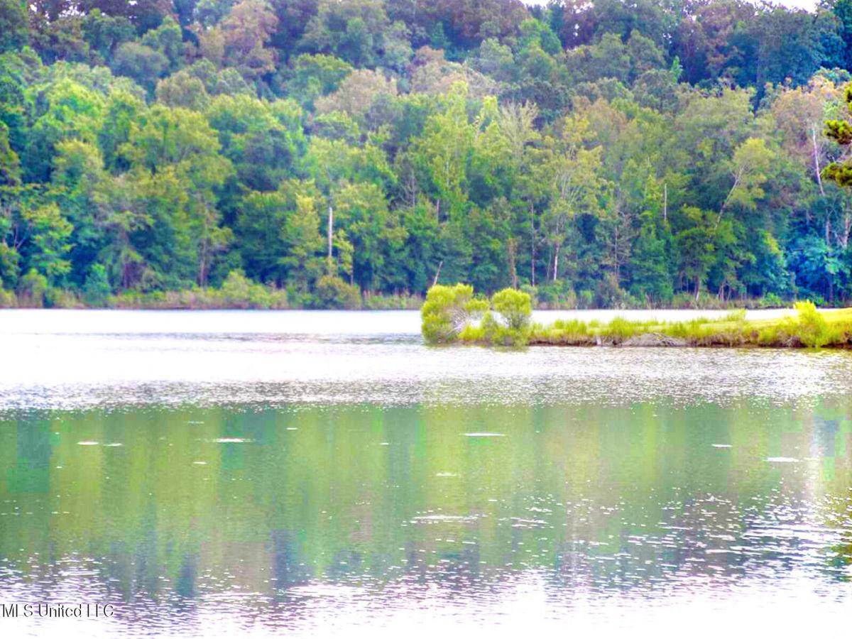 167 Hunters Cove Madison MS 39110 MLS #4128975